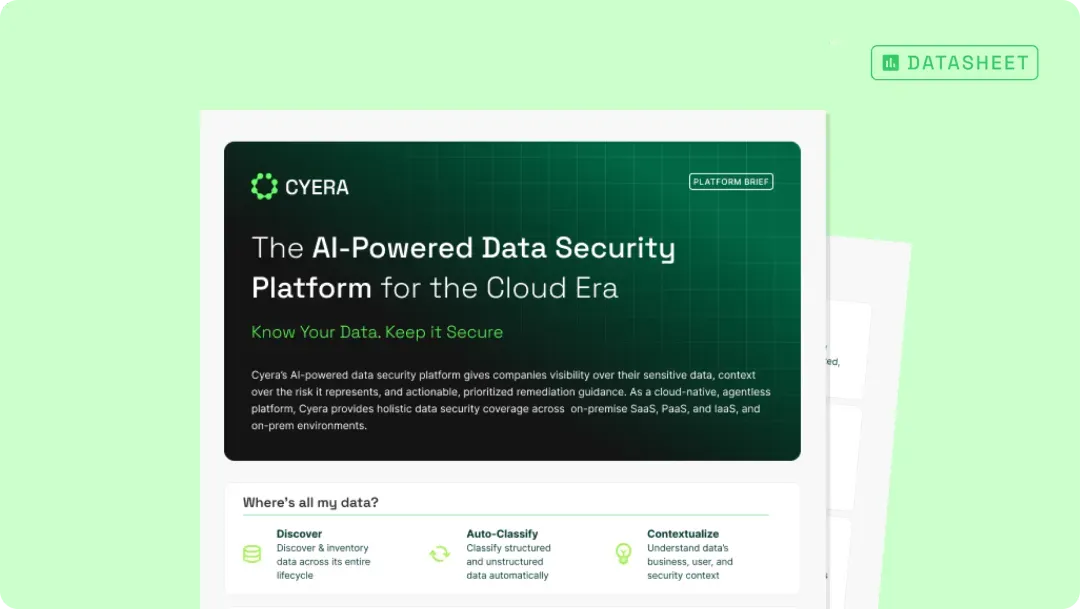 Cyera Platform Brief